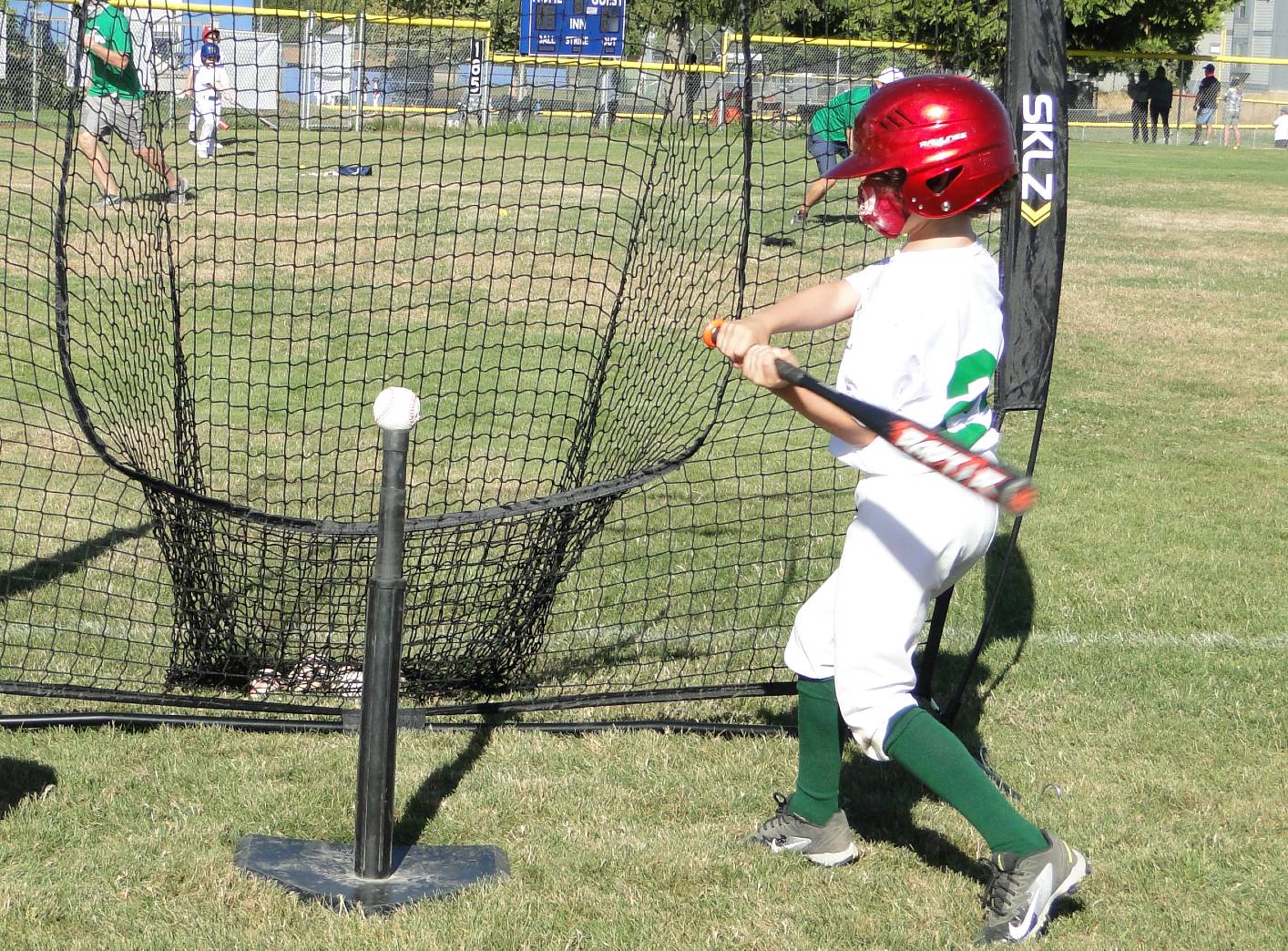 Need to Know: Shetland (6U) Division Tee-Ball – West Seattle Baseball